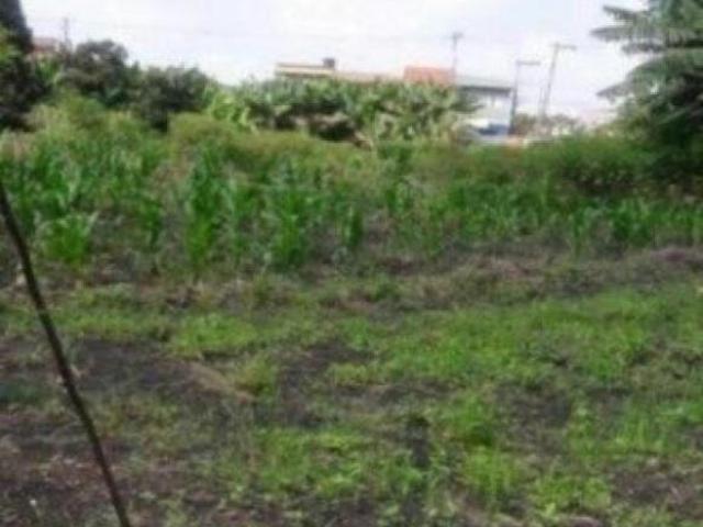Terreno em Jardim Presidente Dutra, Guarulhos/SP de 6000m² à venda por R$ 12.950.000,00