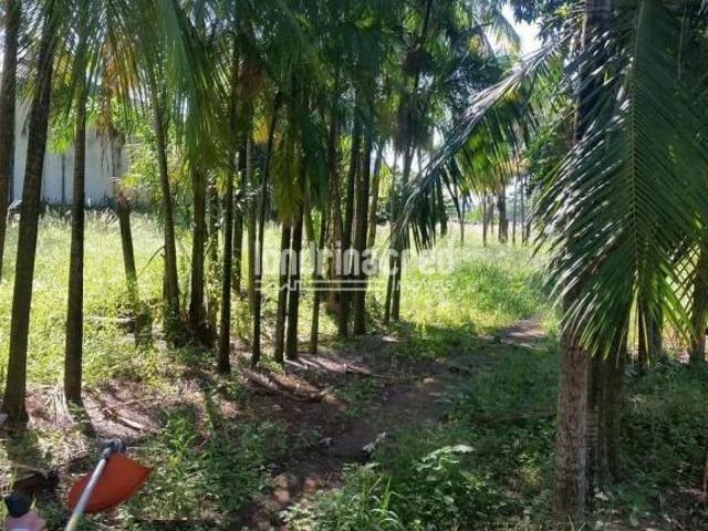 Terreno em Jardim Rosicler, Londrina/PR de 10m² à venda por R$ 3.600.000,00
