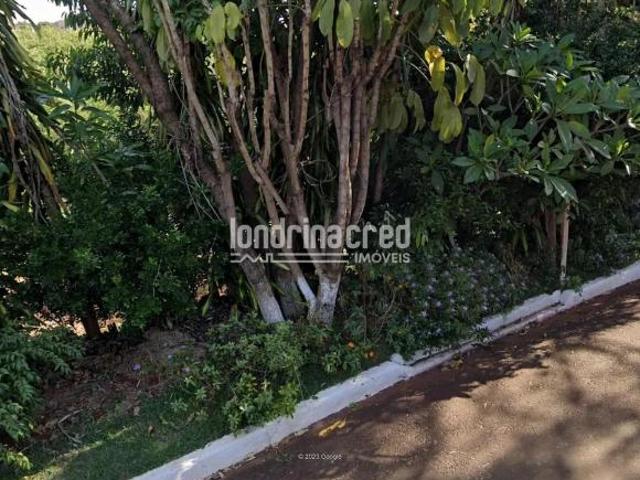 Terreno em Jardim São Francisco de Assis, Londrina/PR de 10m² à venda por R$ 300.000,00