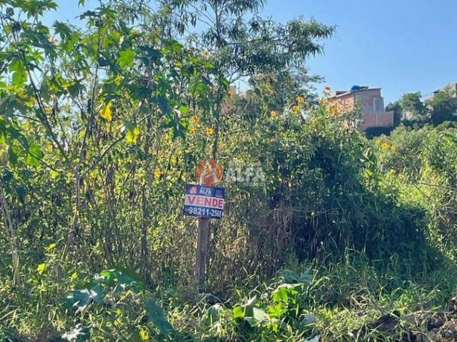 Terreno em Jardim São Miguel, Cotia/SP de 396m² à venda por R$ 317.000,00