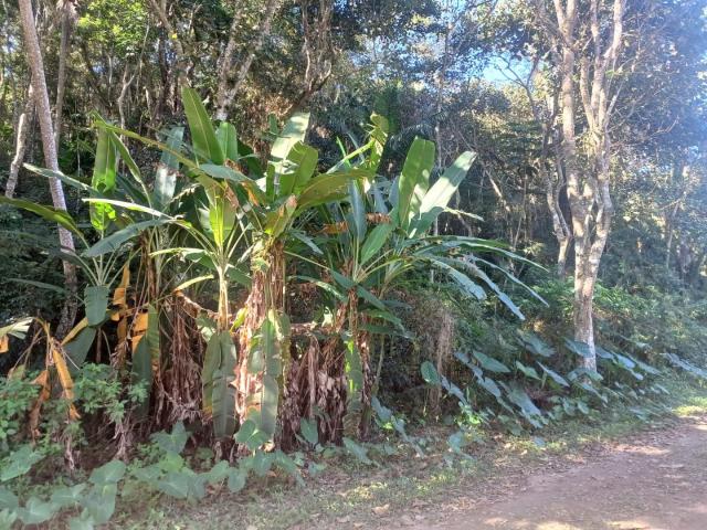 Terreno em Jardim Santa Paula, Cotia/SP de 0m² à venda por R$ 194.900,00