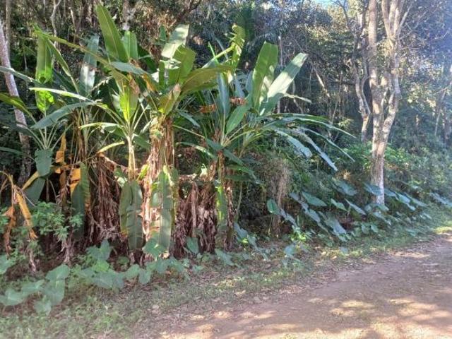 Terreno em Jardim Santa Paula, Cotia/SP de 0m² à venda por R$ 195.000,00
