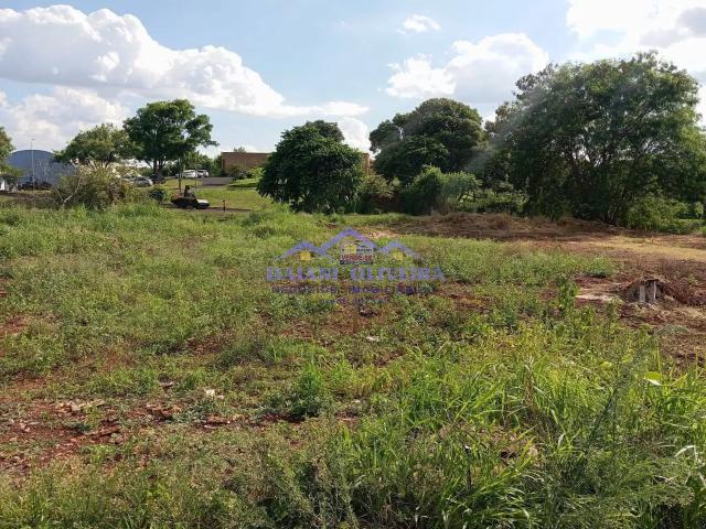 Terreno em Jardim Santo Antonio, Cambará/PR de 203m² à venda por R$ 69.900,00