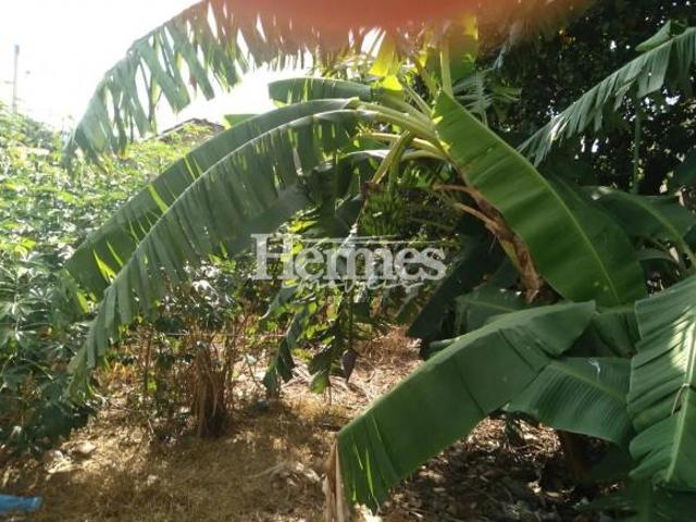 Terreno em João Aranha, Paulínia/SP de 215m² à venda por R$ 240.000,00