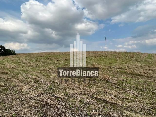 Terreno em Lago, Palmeira/PR de 10m² à venda por R$ 4.999.000,00