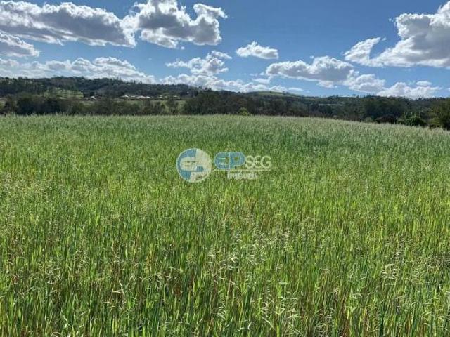 Terreno em Limoeiro, Londrina/PR de 10m² à venda por R$ 1.000.000,00
