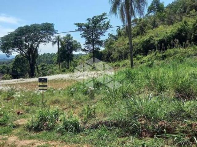 Terreno em Lindolfo Collor
