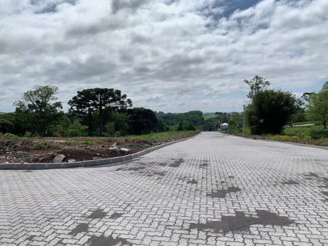 Terreno em Linha Paulina, Bento Gonçalves/RS de 426m² à venda por R$ 259.000,00