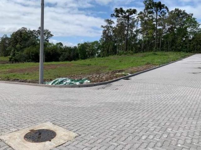 Terreno em Linha Paulina, Bento Gonçalves/RS de 426m² à venda por R$ 260.000,00