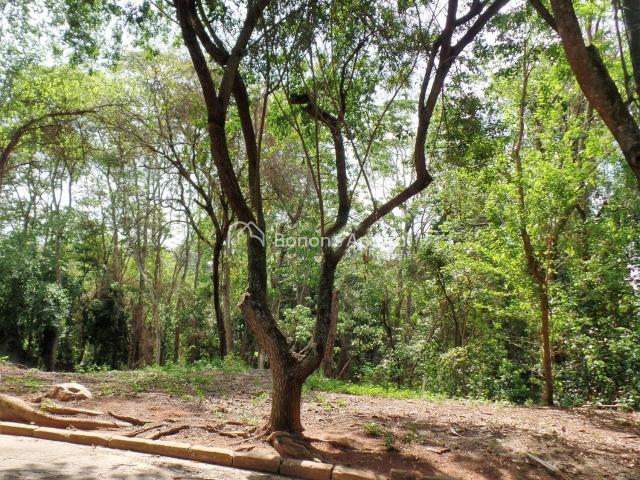Terreno em Loteamento Caminhos de São Conrado Sousas, Campinas/SP de 830m² à venda por R$ 849.000,00