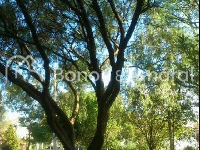 Terreno em Loteamento Caminhos de São Conrado Sousas, Campinas/SP de 875m² à venda por R$ 599.000,00