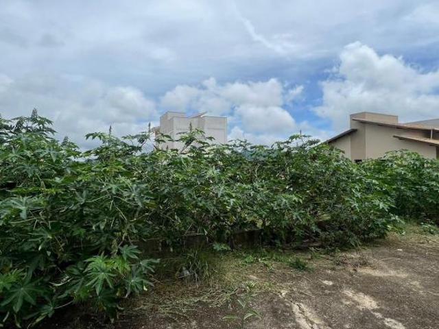 Terreno em Loteamento Campo das Aroeiras Poços de Caldas