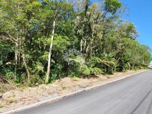 terreno em loteamento em canela