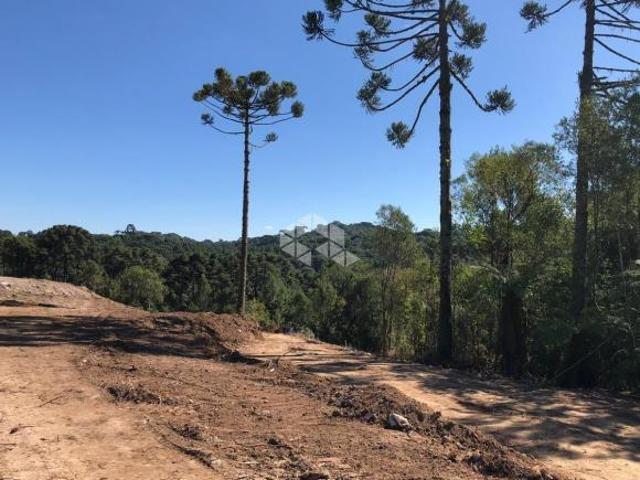 Terreno em Loteamento novo em Gramado