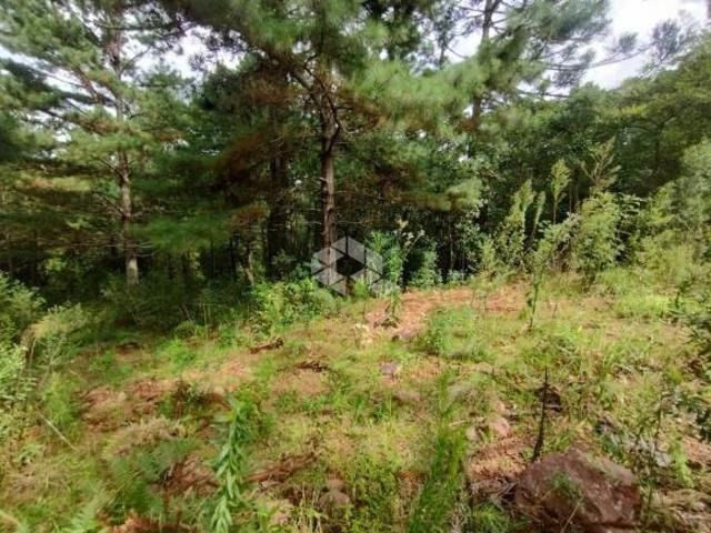Terreno em Loteamento novo em Gramado