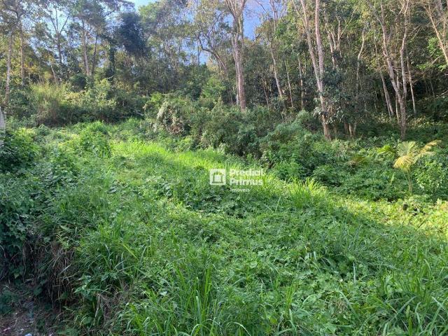 Terreno em Loteamento Sitio Jacina, Nova Friburgo/RJ de 0m² à venda por R$ 119.000,00