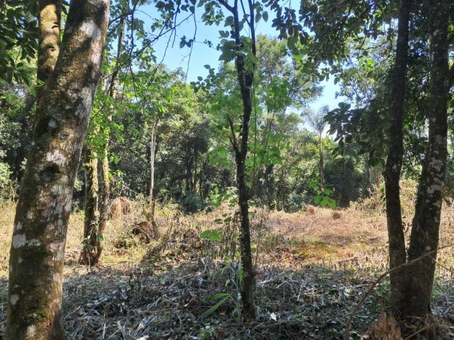 Terreno em Paisagem Renoir, Cotia/SP de 0m² à venda por R$ 359.000,00