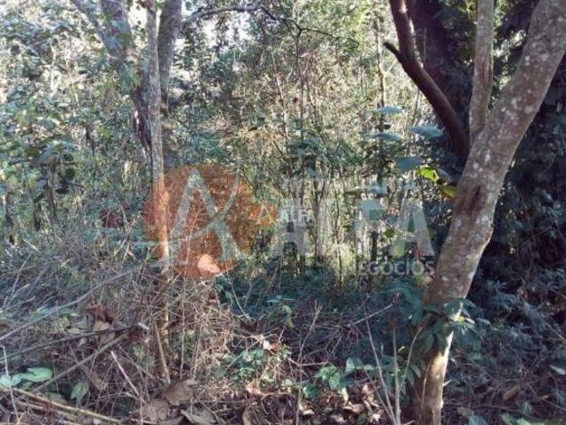 Terreno em Paisagem Renoir, Cotia/SP de 2547m² à venda por R$ 799.000,00