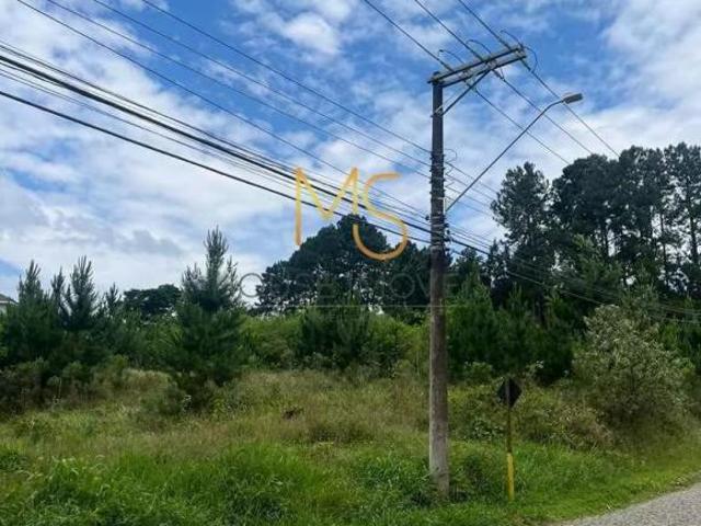 Terreno em Paisagem Renoir, Cotia/SP de 4973m² à venda por R$ 3.500.000,00