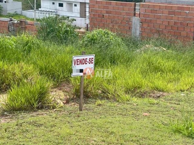 Terreno em Parque Alexandre, Cotia/SP de 125m² à venda por R$ 264.900,00