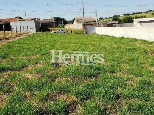 Terreno em Parque Bom Retiro, Paulínia/SP de 10m² à venda por R$ 450.000,00