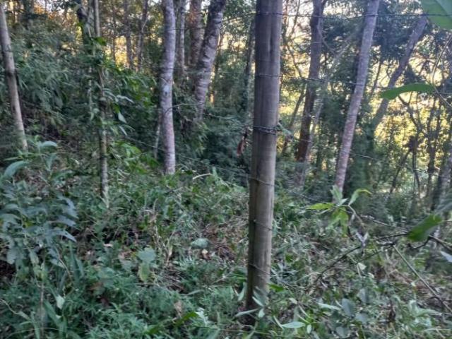 Terreno em Parque do Imbui, Teresópolis/RJ de 1000m² à venda por R$ 129.900,00