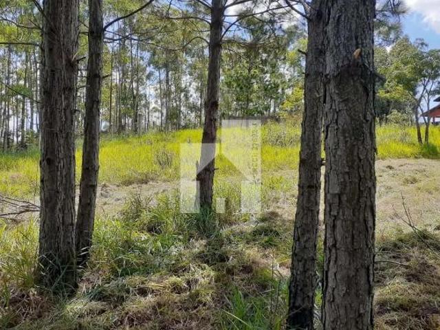 Terreno em Parque Espelho D&apos Água, Jundiaí/SP de 3158m² à venda por R$ 660.000,00