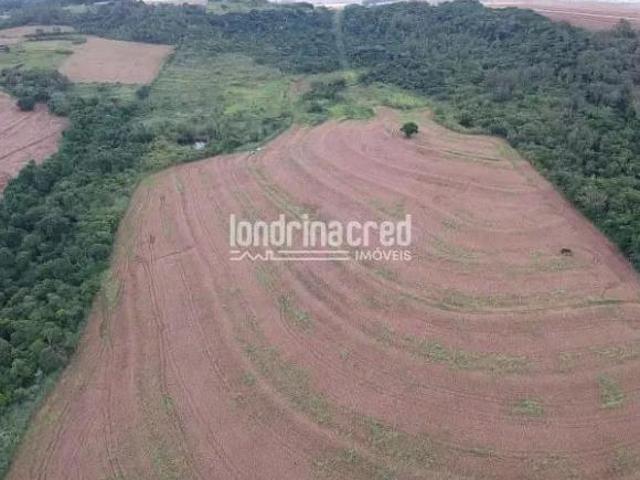 Terreno em Parque Industrial, Maringá/PR de 10m² à venda por R$ 3.300.000,00