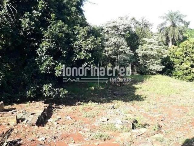 Terreno em Parque Jamaica, Londrina/PR de 10m² à venda por R$ 990.000,00