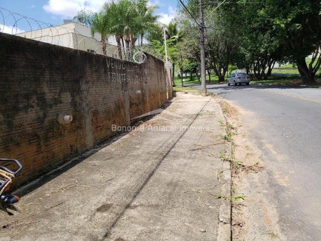 Terreno em Parque Nova Campinas, Campinas/SP de 1160m² à venda por R$ 2.389.900,00
