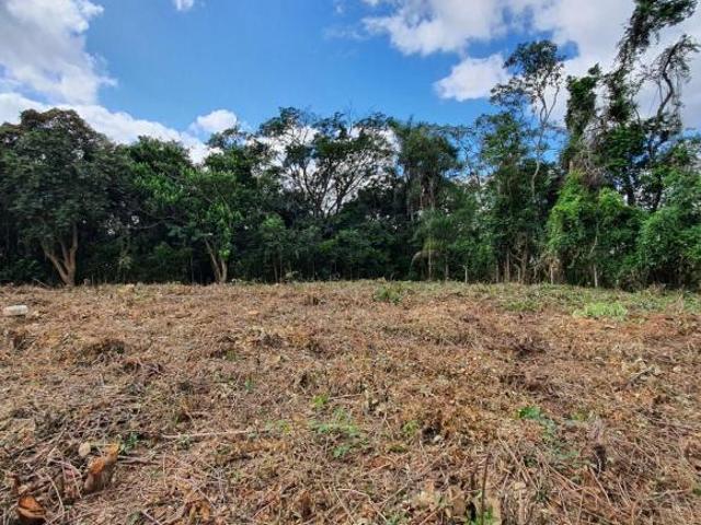 Terreno em Parque Primavera, Carapicuíba/SP de 0m² à venda por R$ 700.000,00