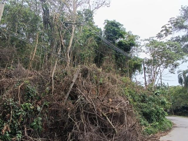 Terreno em Parque Rincão, Cotia/SP de 0m² à venda por R$ 1.299.000,00