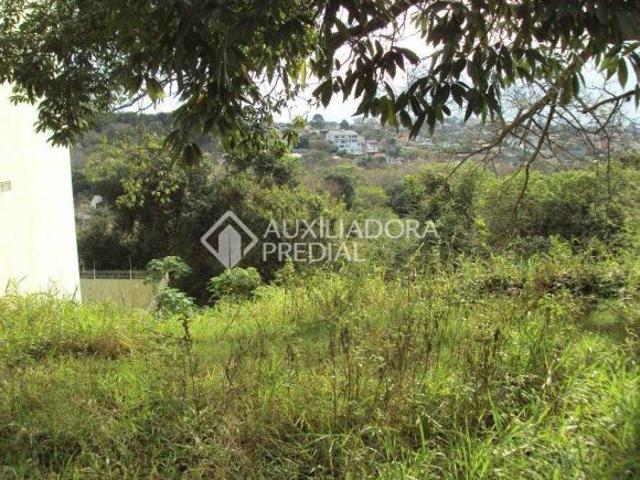 Terreno em parte alta, linda vista