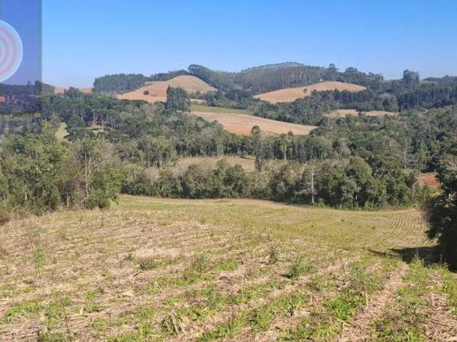 Terreno em Pavão, Agudos do Sul/PR