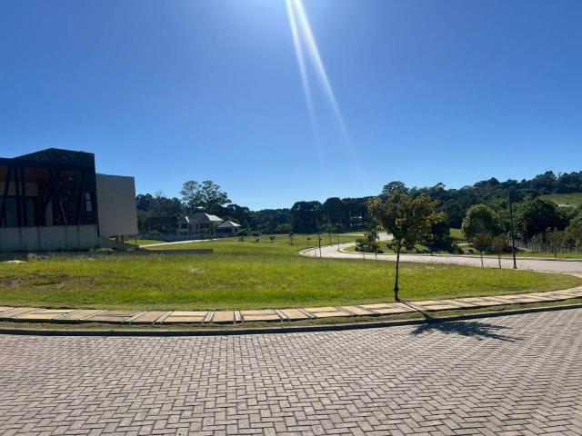 Terreno em Pedancino, Caxias do Sul/RS de 751m² à venda por R$ 588.000,00