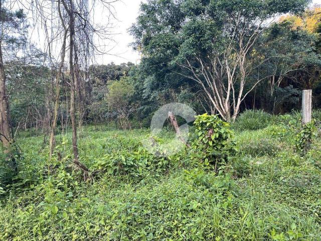 Terreno em Pendotiba, Niterói/RJ de 0m² à venda por R$ 219.900,00