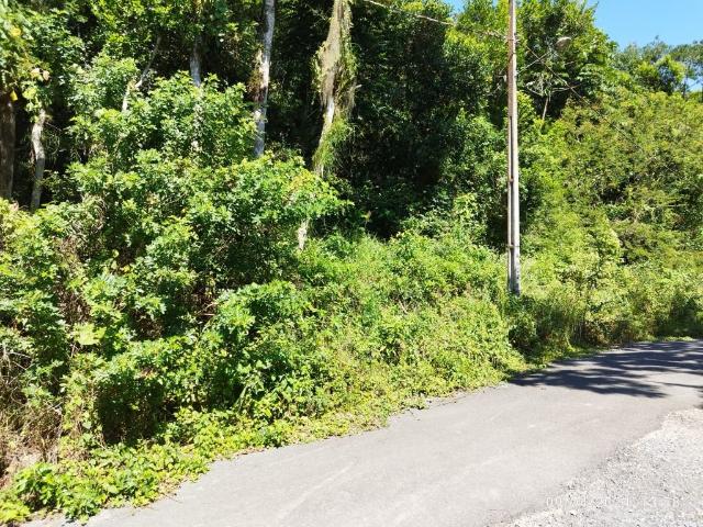 Terreno em, Penha/SC de 0m² à venda por R$ 989.000,00