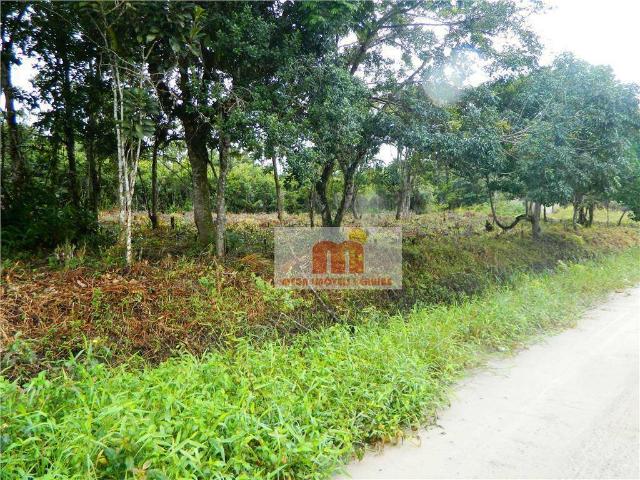 Terreno em, Peruíbe/SP de 0m² à venda por R$ 349.900,00
