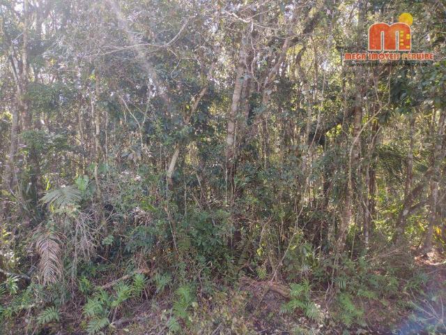 Terreno em, Peruíbe/SP de 0m² à venda por R$ 59.000,00