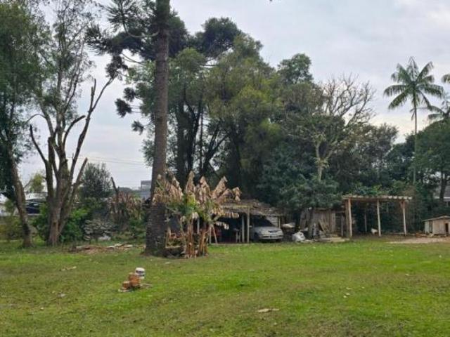 Terreno em Pinhais com 4.200 m²