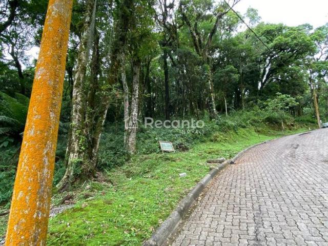 Terreno em Pinheiro Grosso, Canela/RS de 996m² à venda por R$ 584.000,00