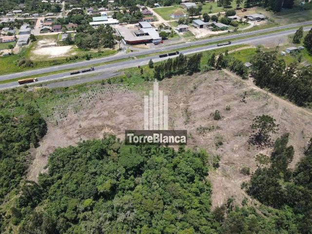 Terreno em Pinherinhos, Piriquitos/PR de 10m² à venda por R$ 5.899.900,00