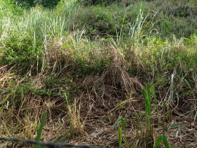 Terreno em Piratininga, Niterói/RJ de 0m² à venda por R$ 539.900,00