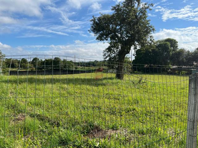 Terreno em Planta Laranjeiras, Piraquara/PR de 2800m² à venda por R$ 659.900,00