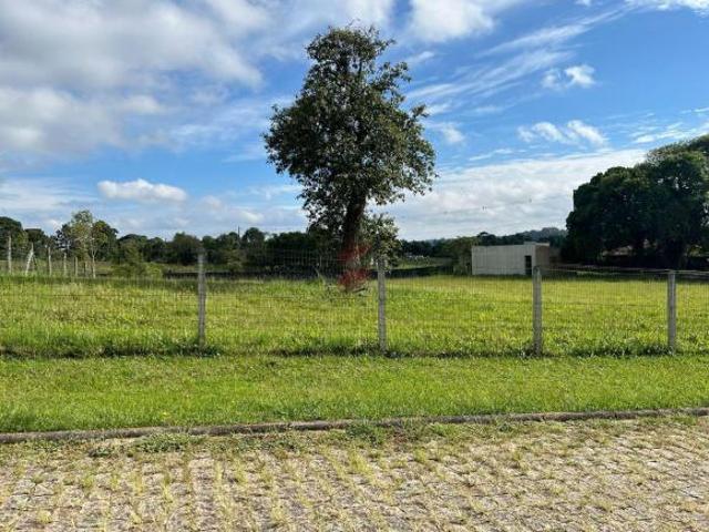 Terreno em Planta Laranjeiras, Piraquara/PR de 2800m² à venda por R$ 660.000,00