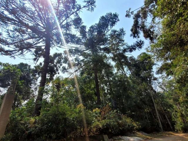 Terreno em Posse, Teresópolis/RJ de 668m² à venda por R$ 129.900,00