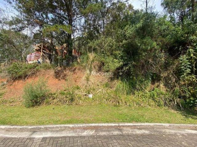 Terreno em Pórtico, Gramado/RS de 504m² à venda por R$ 550.000,00