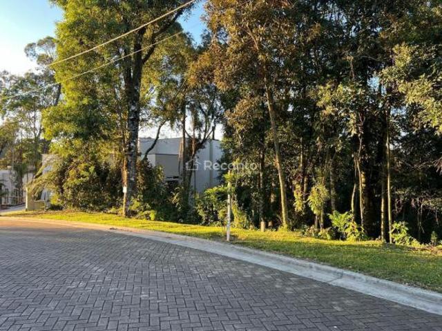 Terreno em Pórtico, Gramado/RS de 614m² à venda por R$ 590.000,00