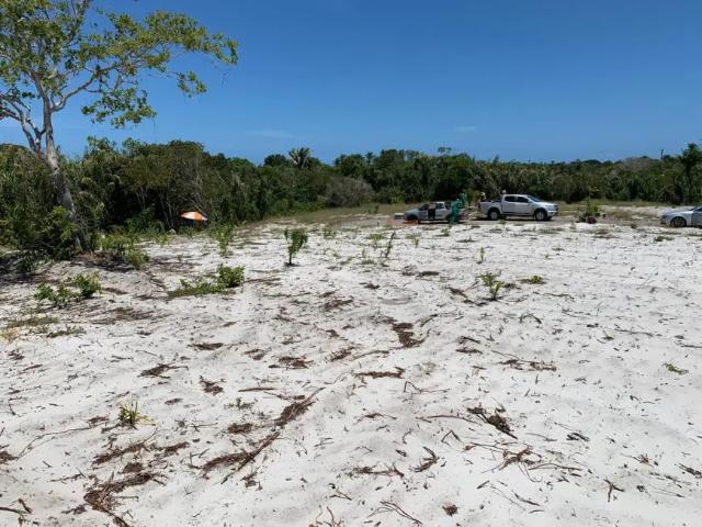 Terreno em Praia do Forte no Condomínio La Laguna, 824m², alto padrão, infraestrutura moderna