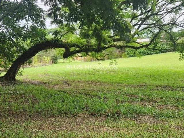 Terreno em rua arborizada no City castelo, excelente topografia, aceita permuta!